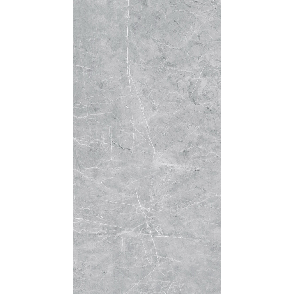 Estima Ceramica Vision Series Grey 24" x 48" Natural Finish Porcelain ...