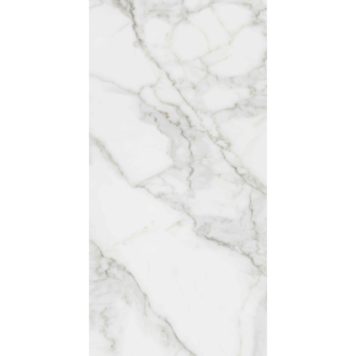 Estima Ceramica Alba Series White 24" x 48" Polished Porcelain Tile ...