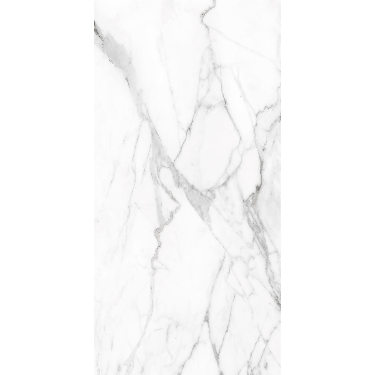 Estima Ceramica Supreme Series White 24" x 48" Polished Porcelain Tile ...